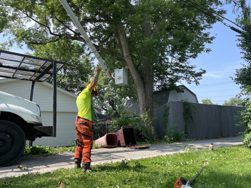 Residential Projects - Williams Tree Company