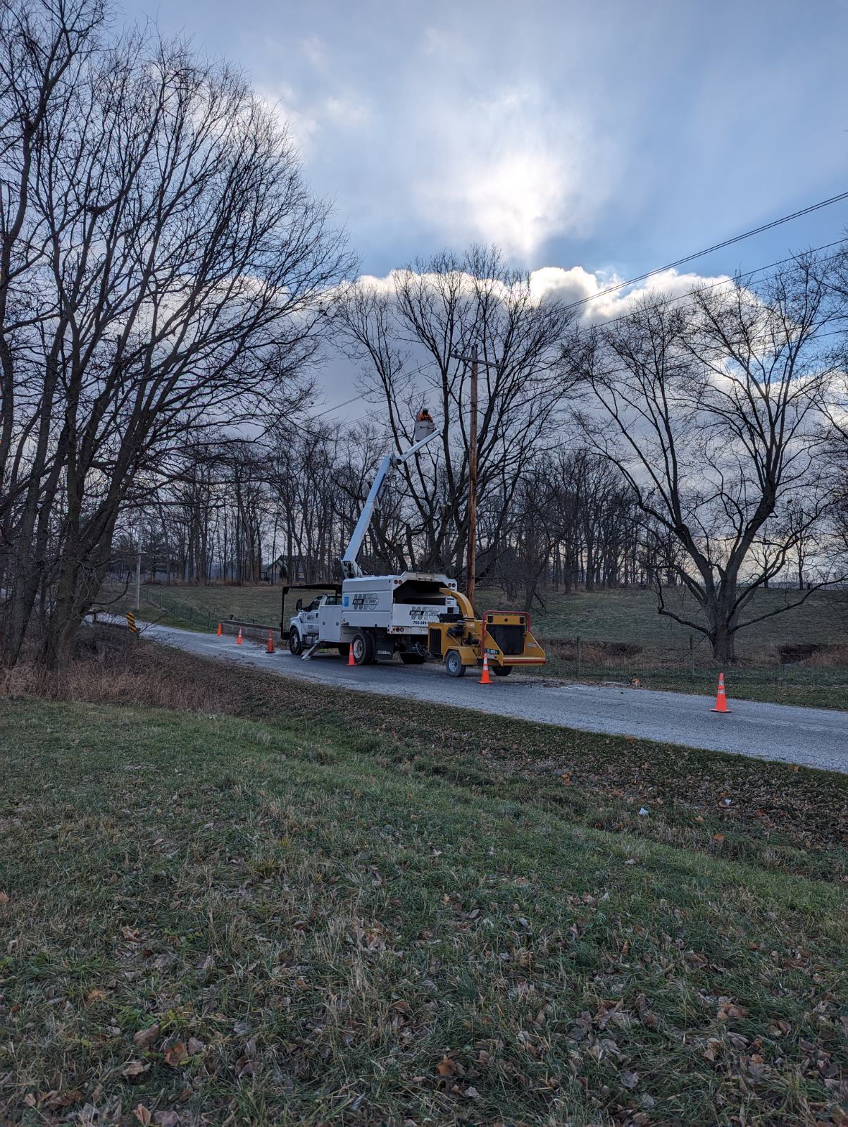 Vegetation Management - Williams Tree Company